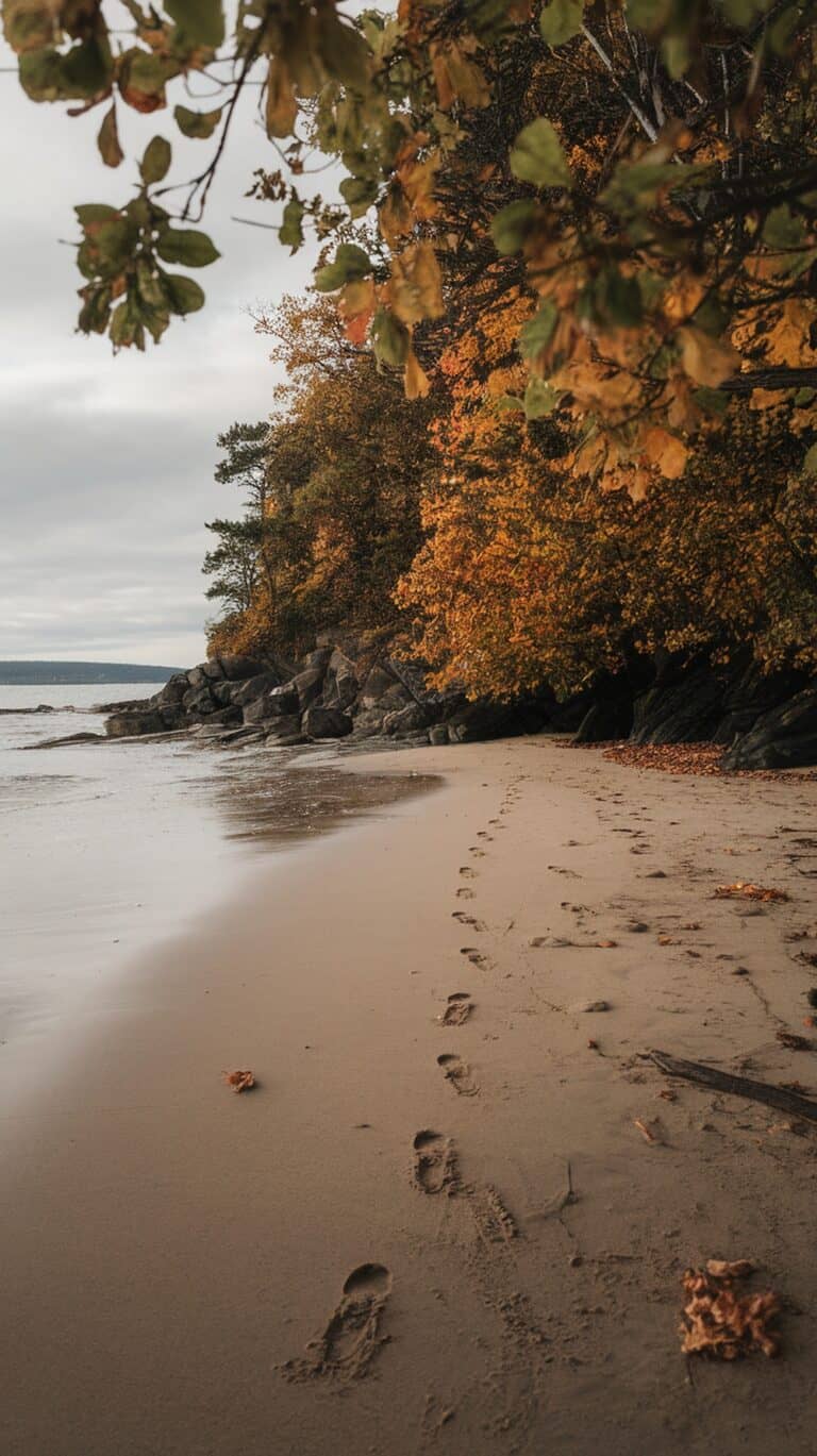 Fall At The Beach Activities You’ll Want To Try This Year - My Beach ...