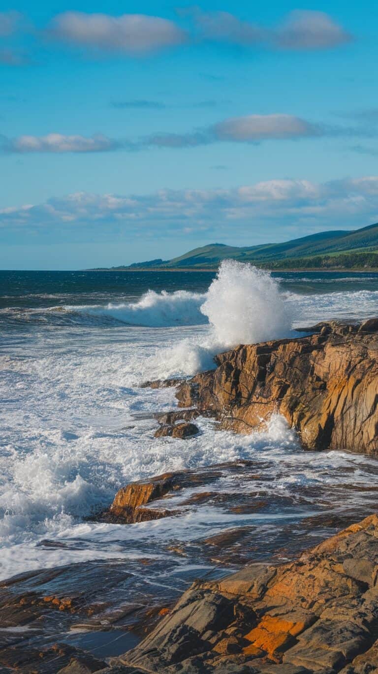 Fall At The Beach Activities You’ll Want To Try This Year - My Beach ...